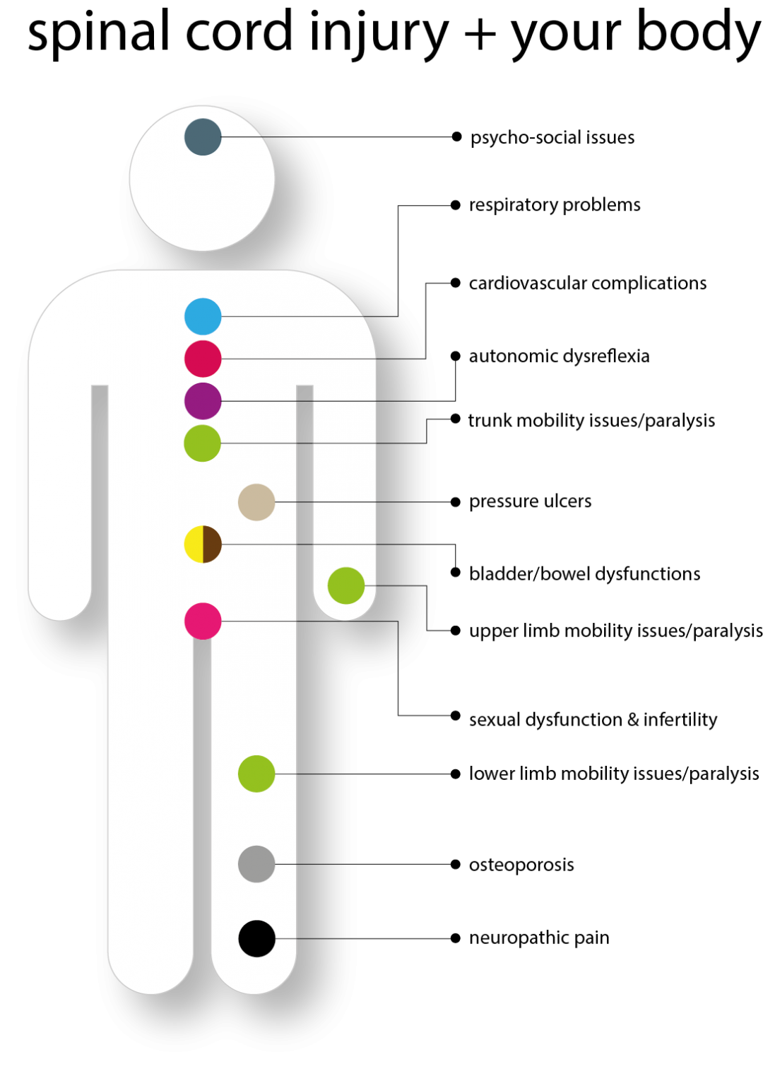Understanding SCI - Living With Spinal Cord Injury